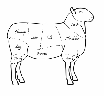 Sheep Meat Cuts